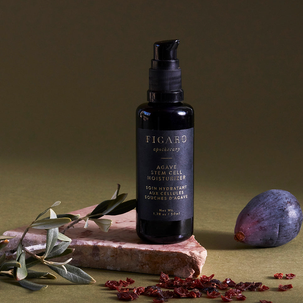 Agave Stem Cell Lightweight Moisturizer | Figaro Apothecary